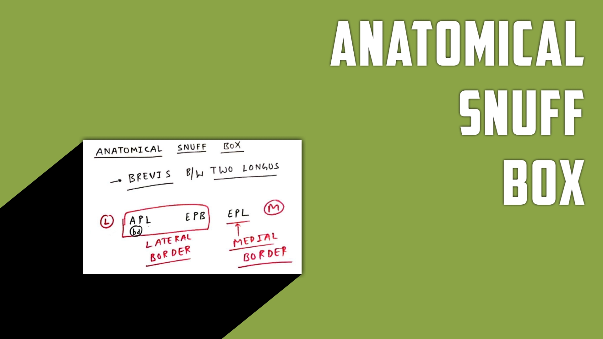 Upper Limb Anatomy in 7 Days - TCML - The Charsi of Medical Literature
