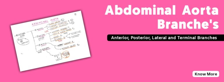 Stomach bed - TCML - The Charsi of Medical Literature