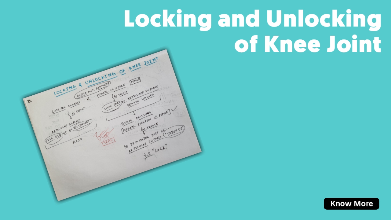 Lower Limb Anatomy in 7 Day - TCML - The Charsi of Medical Literature