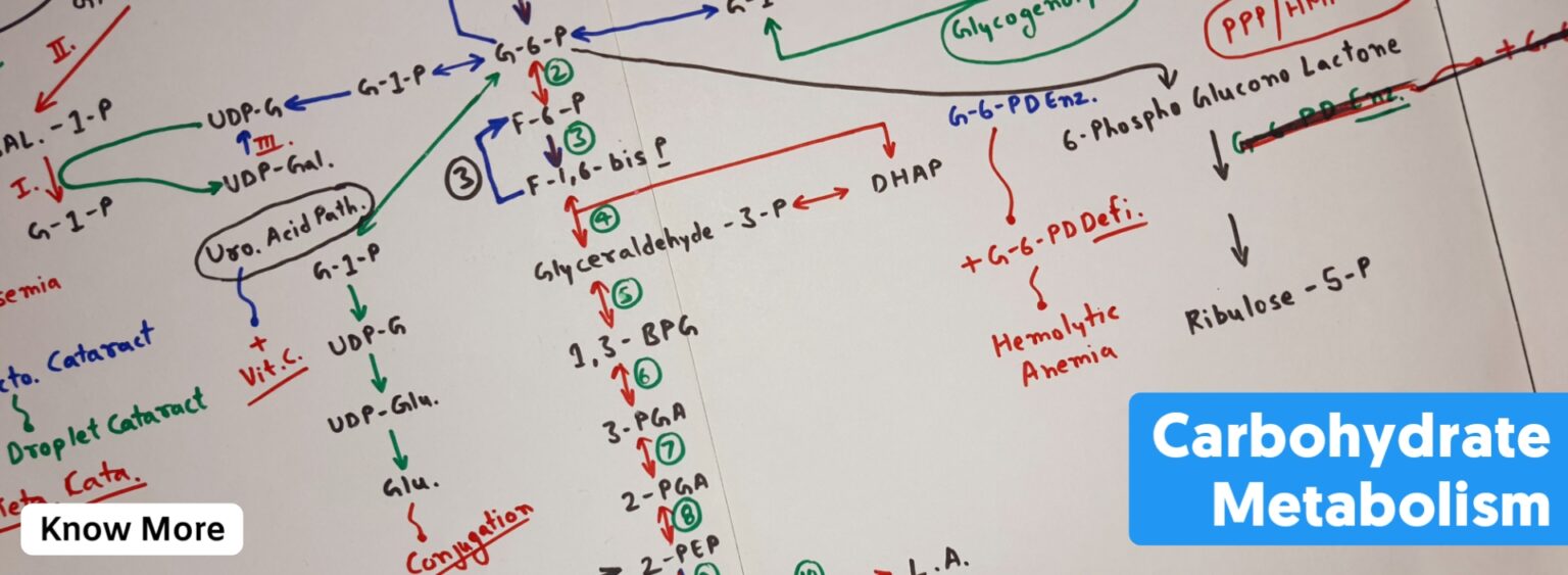 Hesselbach’s triangle - TCML - The Charsi of Medical Literature