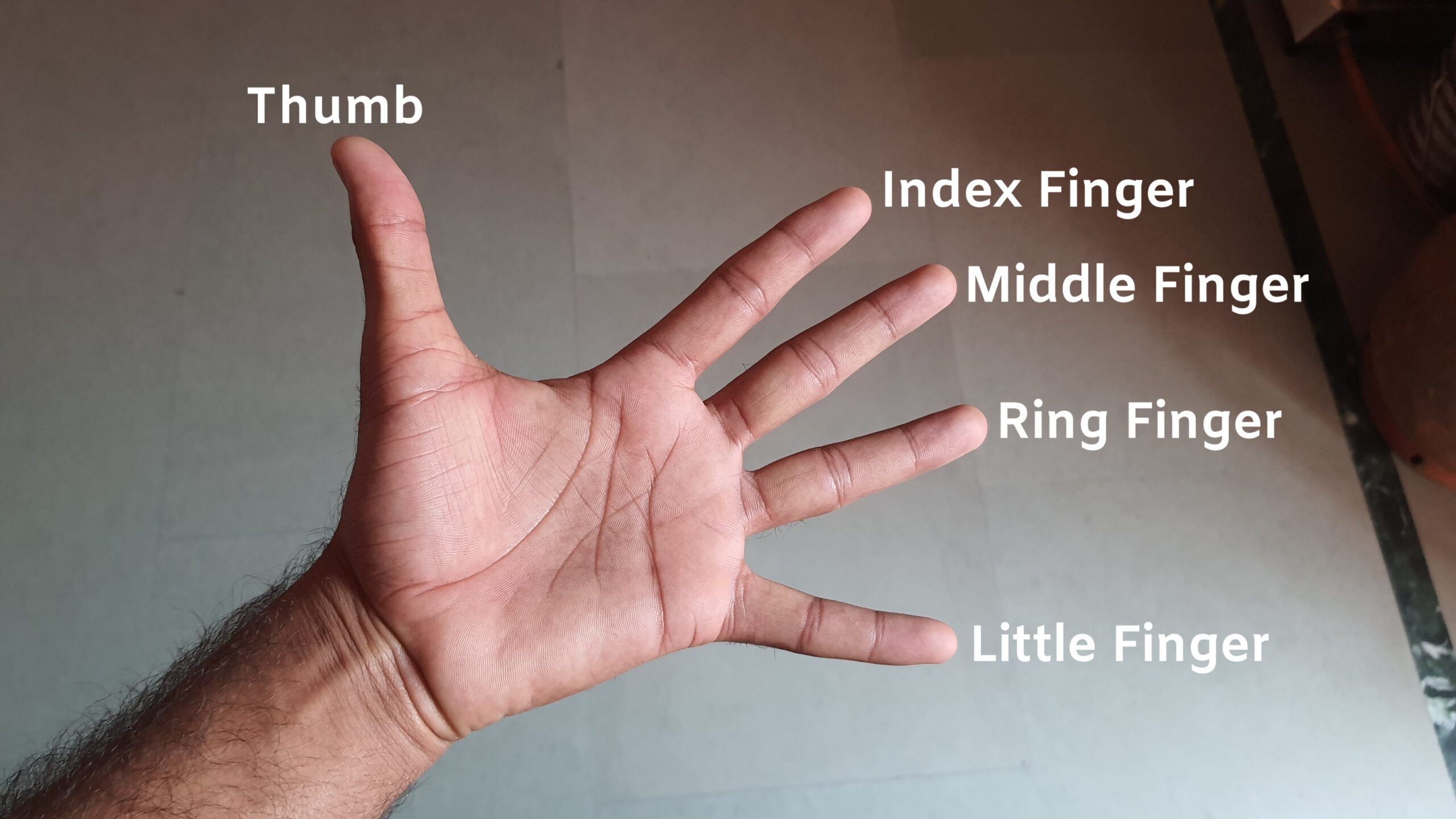 Finger TCML The Charsi Of Medical Literature Finger TCML The Charsi Of Medical Literature