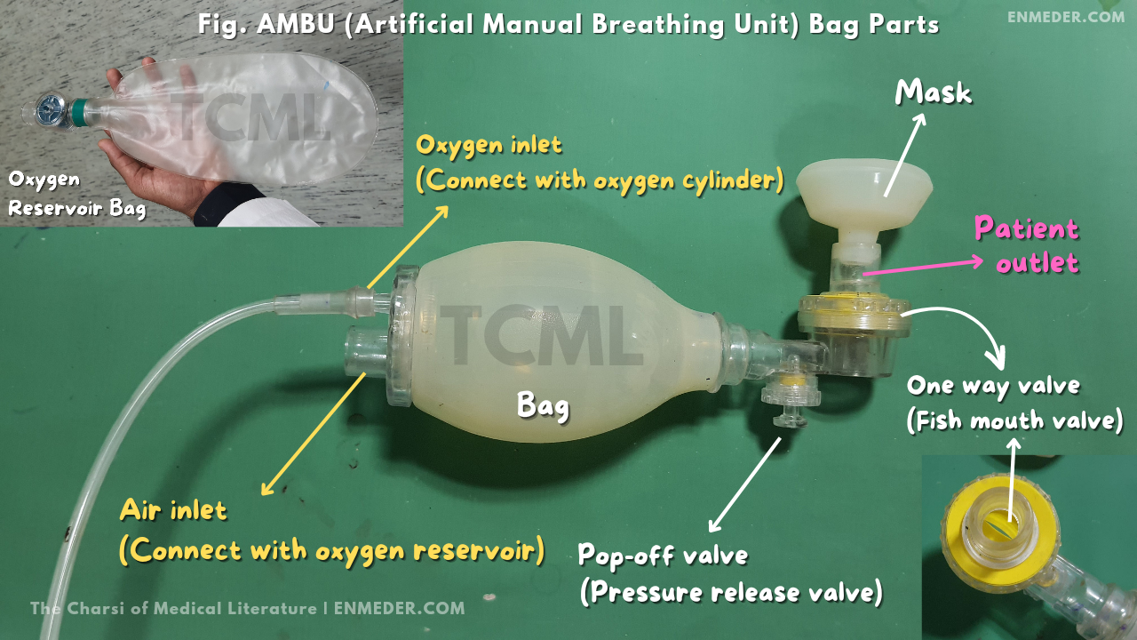 Ambu Bag TCML The Charsi Of Medical Literature Ambu Bag TCML The Charsi Of Medical Literature