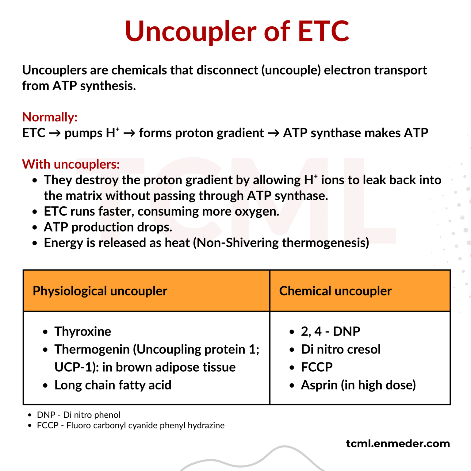 Uncouplers of electron transport chain - TCML - The Charsi of Medical ...